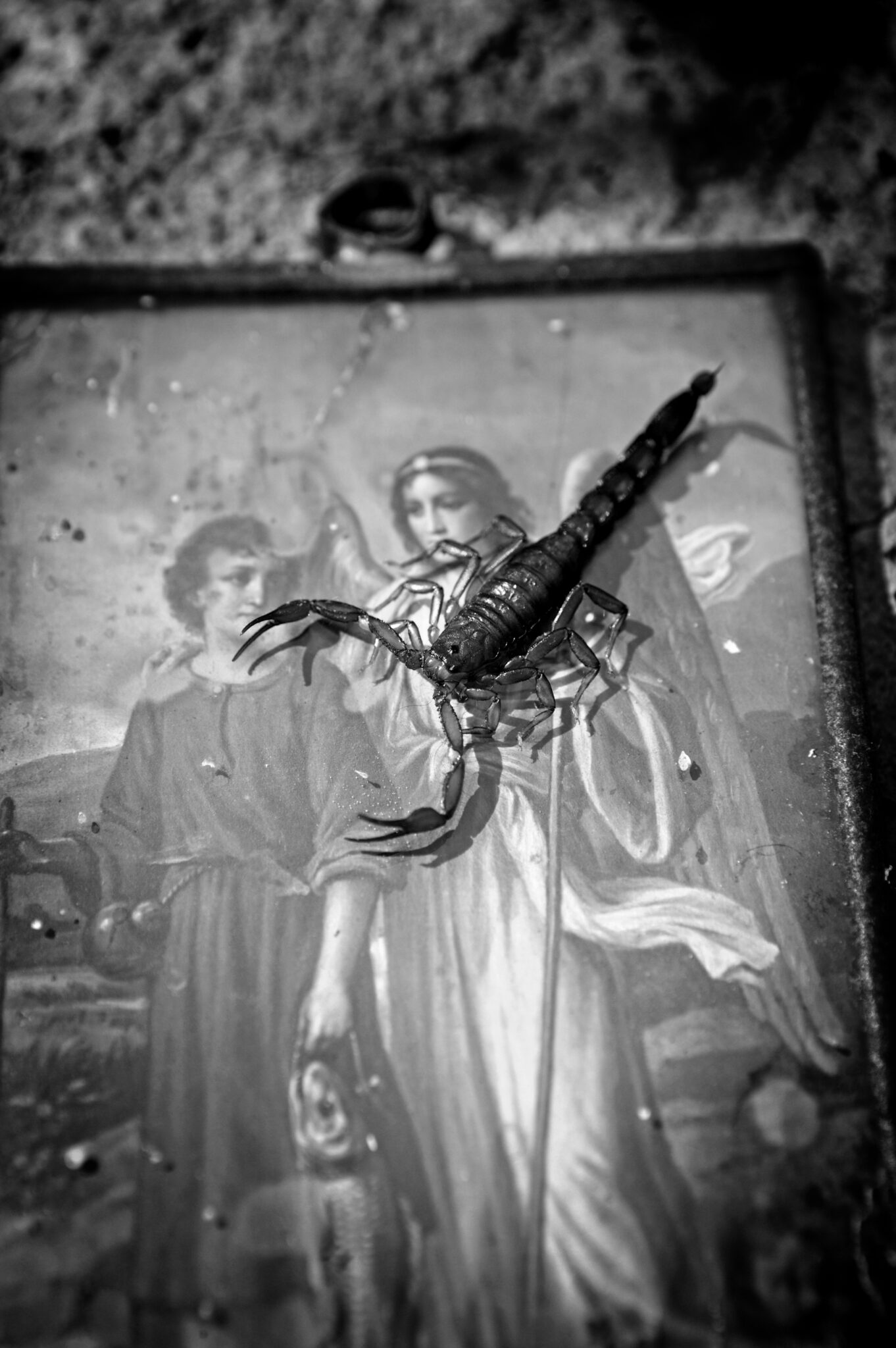 Houston Photographer Emerges as a Real Rising Star — Roj Rodriguez and ...