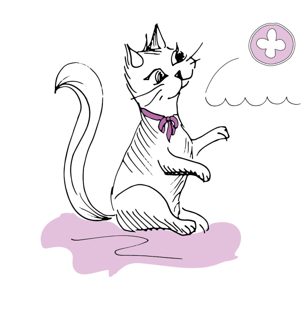 The Curious Story of Duncan the Cat at the Rosewood Mansion on Turtle Creek