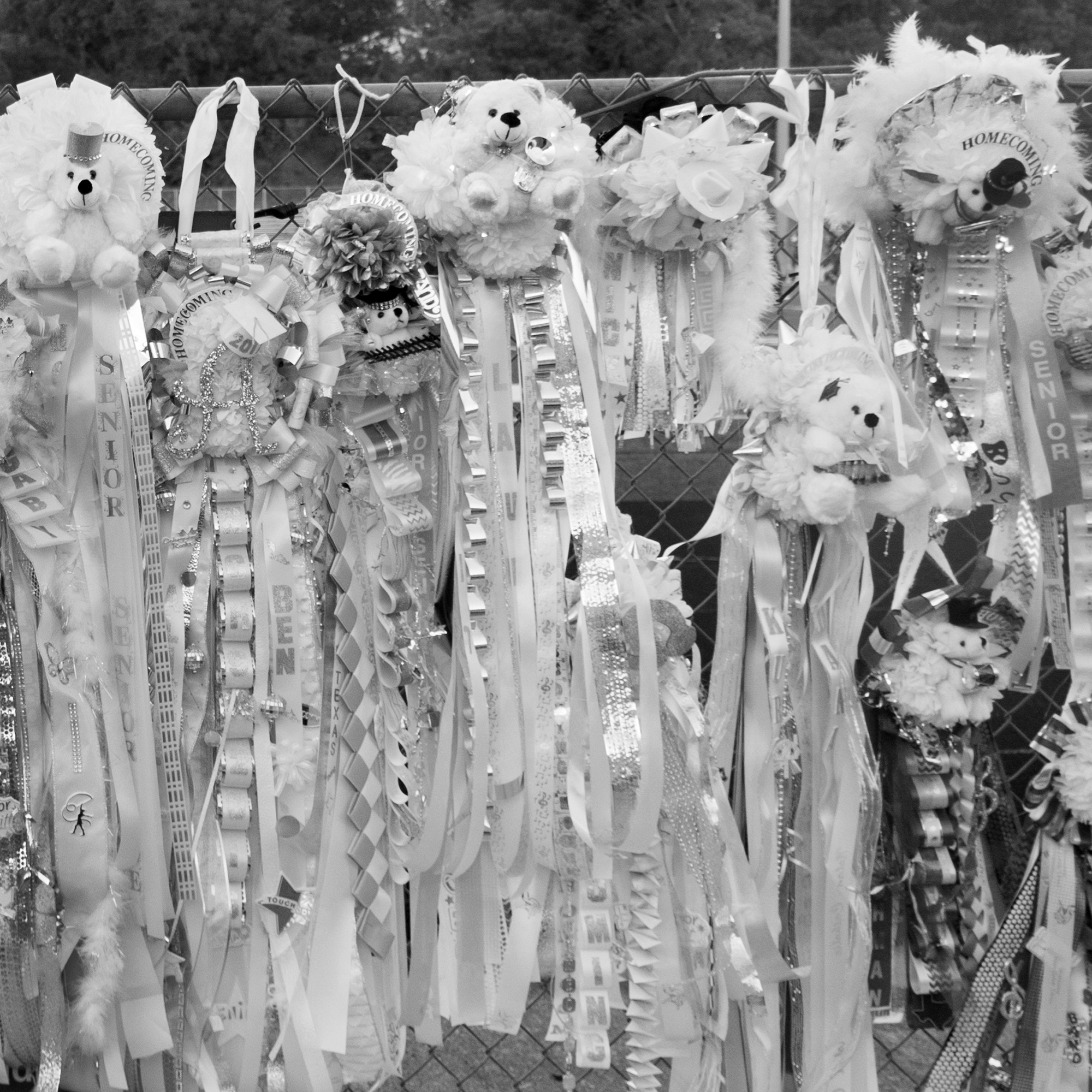 Explaining the Texas Tradition of Mums — Bringing Homecoming Home With Striking Stories and ...