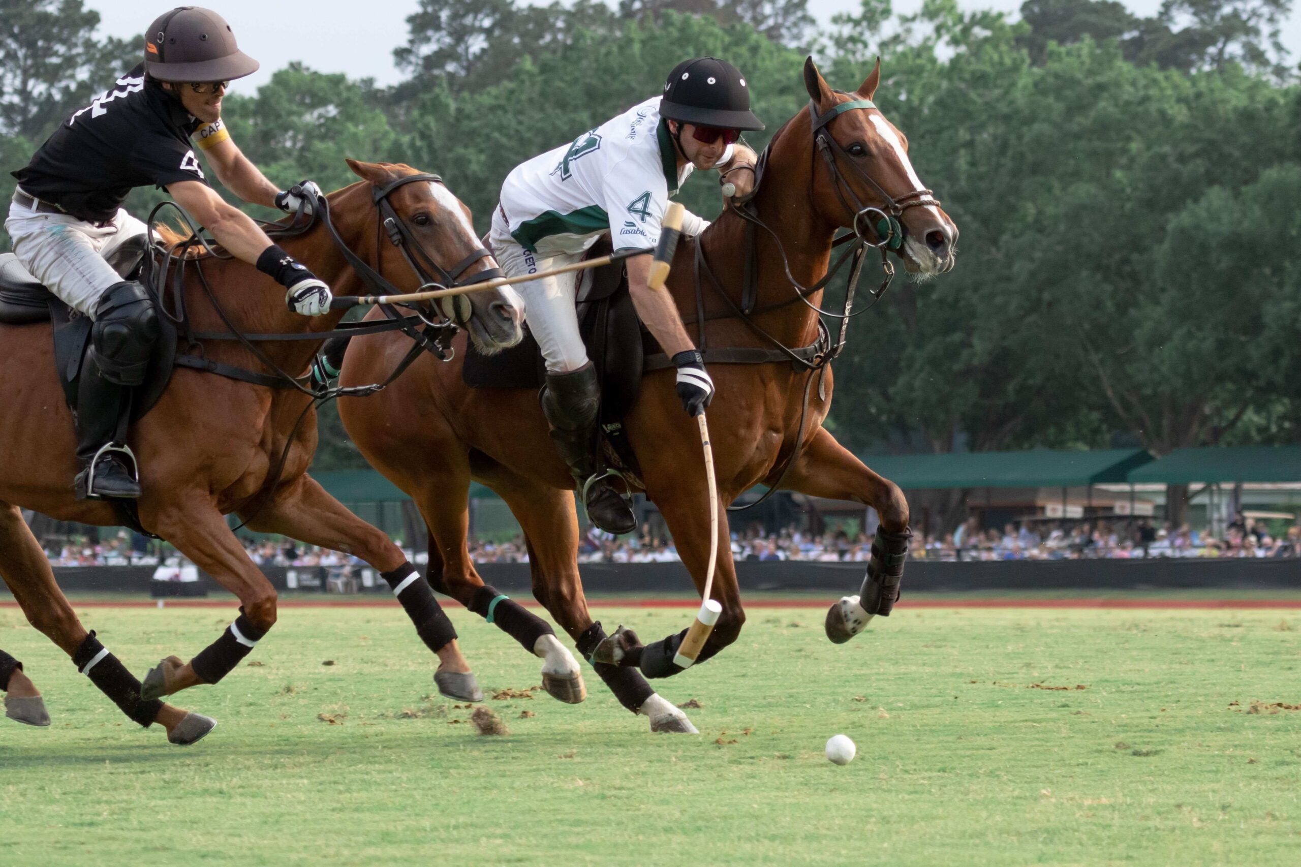 USPA WESTERN CHALLENGE presented by DOS HOMBRES - PaperCity Magazine
