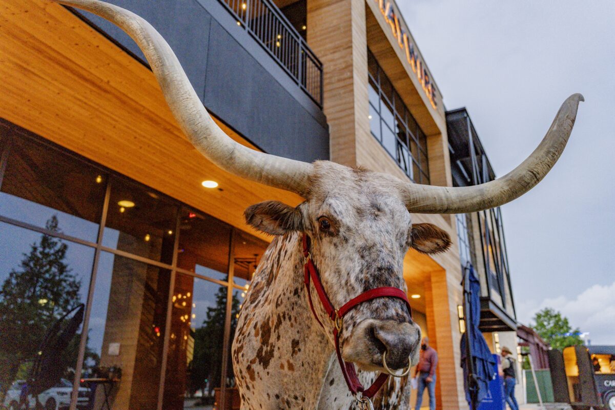 Houston's New Texas Themed Restaurant Makes It Rodeo Season All Year ...