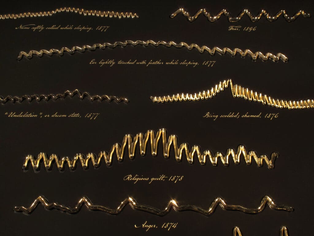 Bob Dylan, Prehistoric Whale Bones and Space Aliens — Artist Dario ...