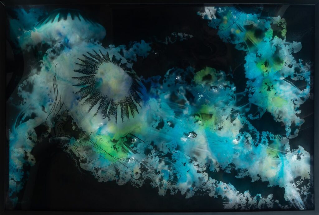 LIGHTSCAPE and RITUAL AND TRANSFORMATION-A Multi-Sensory Art Experience ...